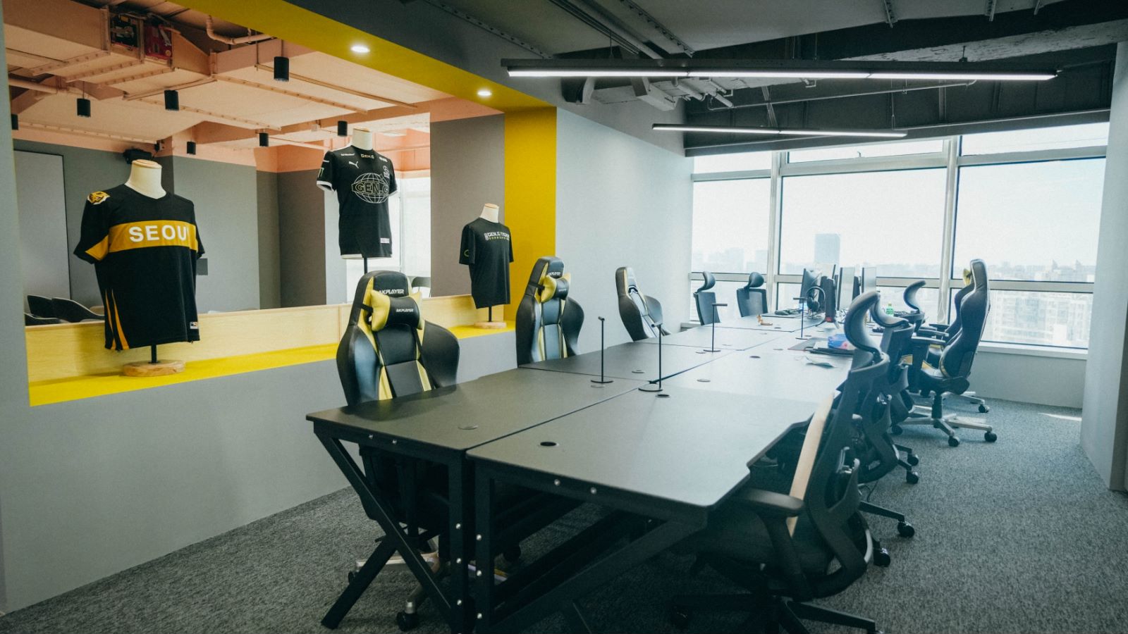 PentaQ刺猬电竞社 | 志在电竞未来。品质、趣味、硬核。